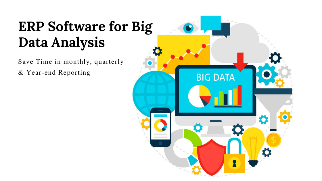 ERP Software for Big Data Analysis: Save Time While Creating Reports